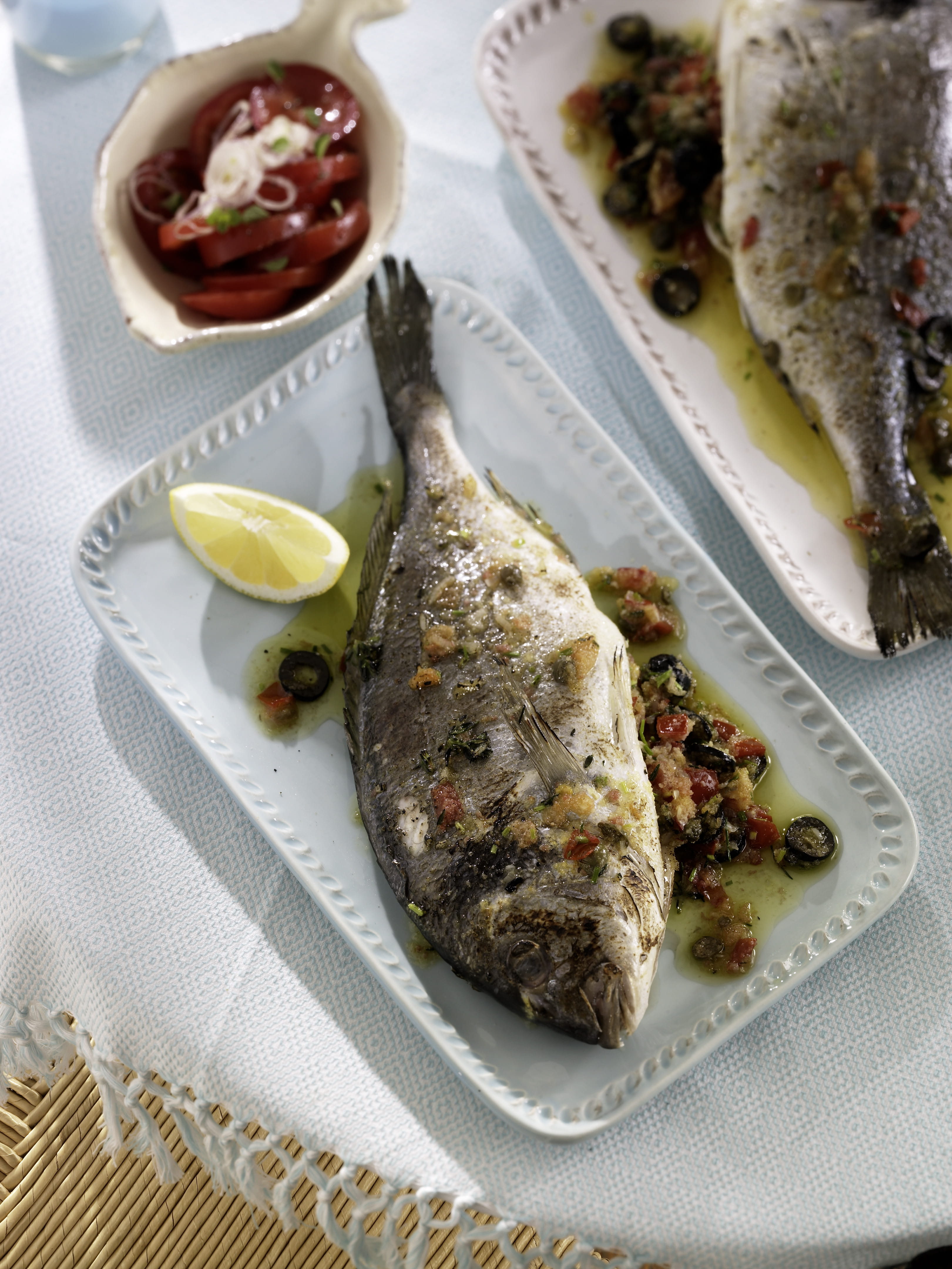Dorade mediterran | Rama